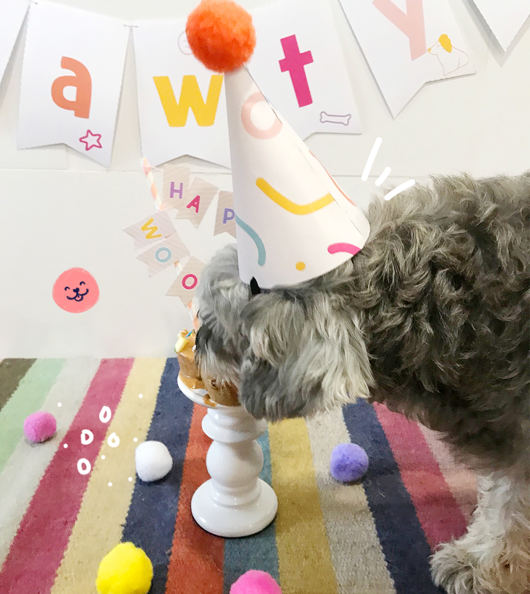¡Kit para una fiesta súper GUAU! - CuidaMiMascota